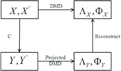 Schematic Of Standard Dmd And Compressed Dmd Method Download