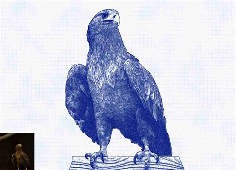 Sketch Blueprint Effect Photoshop Action Filtergrade