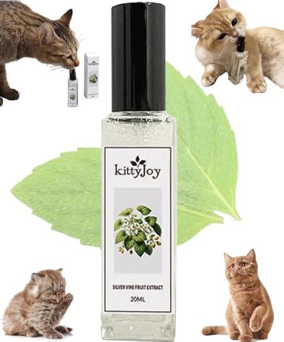 Catnip Spray The 15 Best Products Compared Wild Explained