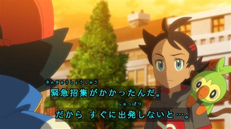 They Split Their Paths R Pokemonanime