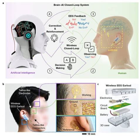 문신 같은 미세 전극으로 뇌 인공지능 소통한다