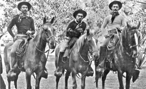 Paniolo Hawaiis Cowboy Heroes Of 1908 Brewminate A Bold Blend Of