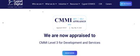 Top Companies For Integrated Devops Services To Checkout In 2024 In November 2024
