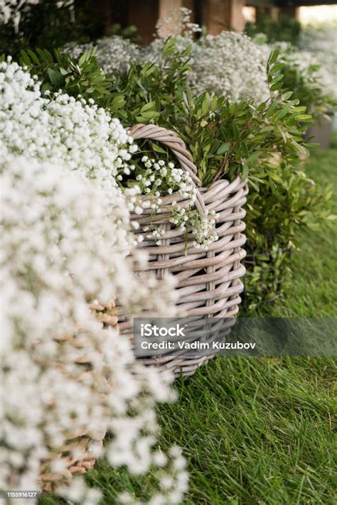 어떤 휴일 아름답고 섬세한 장식에 흰색 안개 꽃 결혼식 이나 파티 짠 바구니 바구니에 아기의 호흡 꽃 밀짚에 대한 스톡 사진 및 기타 이미지 Istock