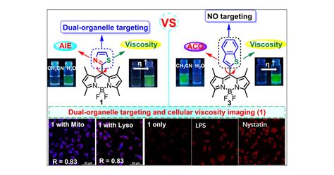 Development Of Meso Five Membered Heterocycle Bodipy Based Aie