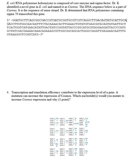 Solved E Coli Rna Polymerase Holoenzyme Is Composed Of Core