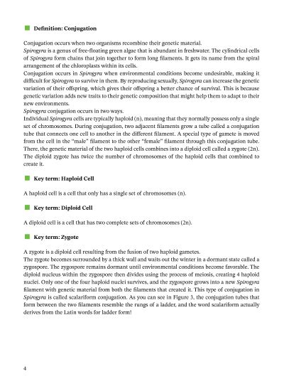 Lesson Types Of Sexual Reproduction Nagwa