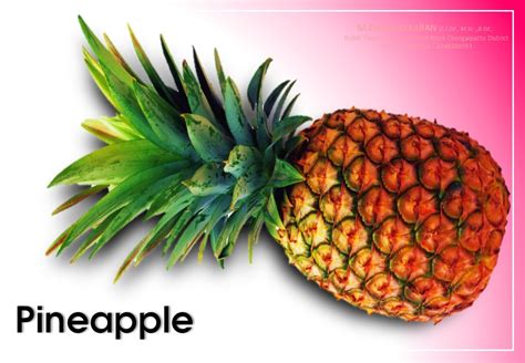 Ennum Ezhuthum Term 2 Unit 3 Tlm Tamil English Maths