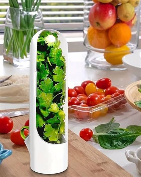 Pojemnik Organizer Herb Keeper Na Zioła Warzywa Mini Szklarnia 11 Gratis Domoovopl