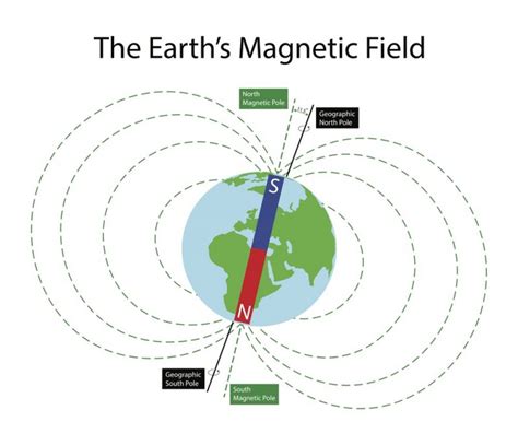 Do You Have A Magnetic Compass In Your Head
