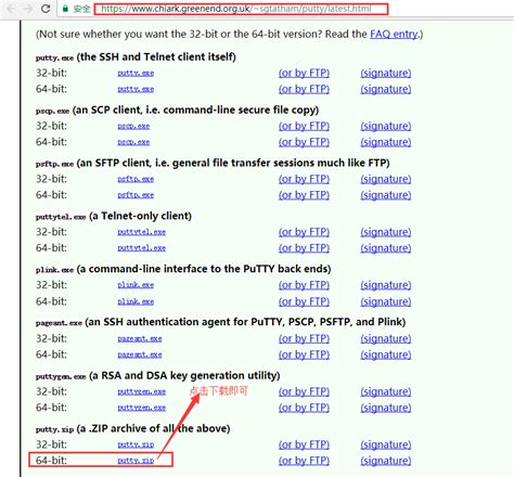 Windows10如何下载有效的putty及如何使用putty连接虚拟机的linux系统？win可以安装putty吗 Csdn博客