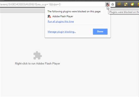 Adobe Flash Player Insomniac Browser