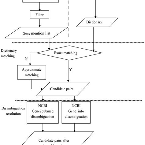 Architecture Of The Gene Name Normalization System Download Scientific Diagram