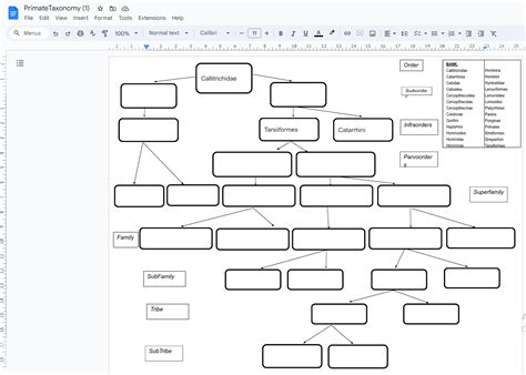 Solved Instructions For The Taxonomy Chart Assignment1