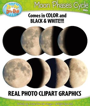 8 Moon Phases Clip Art