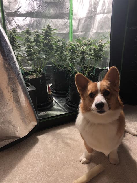 534 Best Essential Worker Images On Pholder Antiwork Workers Strike