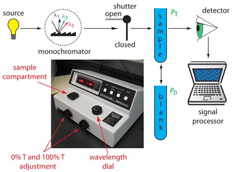 How Does A Spectrophotometer Measure A Sample What Does It Measure At