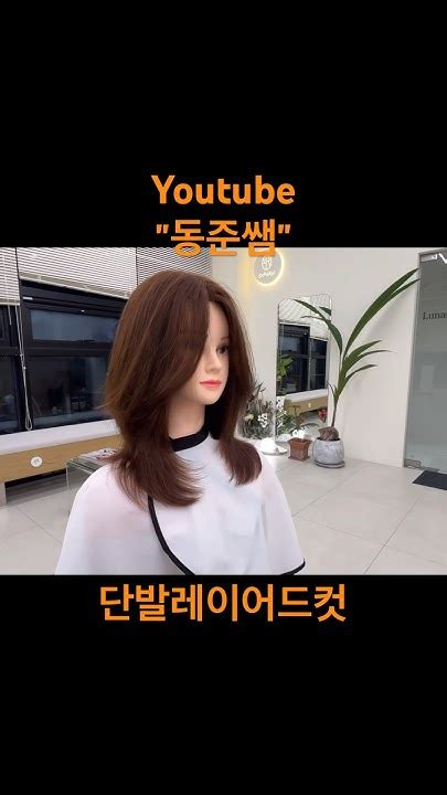 레이어드컷 쉽고 빠르게 자르는 방법 How To Cut Medium Layered Hair Style Youtube