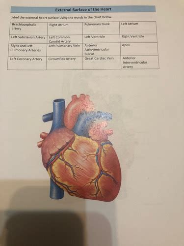Module Lab Exam Flashcards Quizlet