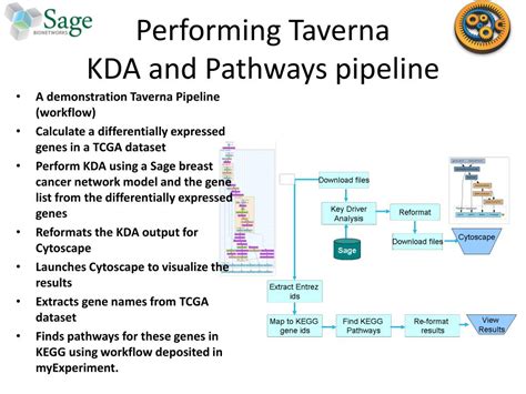 ppt taverna workflow powerpoint presentation free download id 3860422