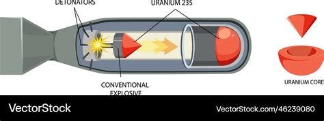 Components Inside Of Uranium Nuclear Fission Bomb Vector Image