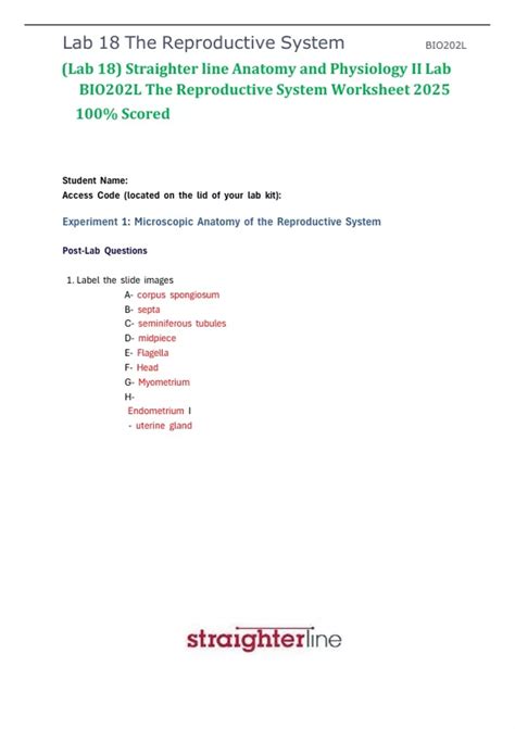 Lab 18 The Reproductive System Bio202l Lab 18 Straighter Line Anatomy And Physiology Ii Lab