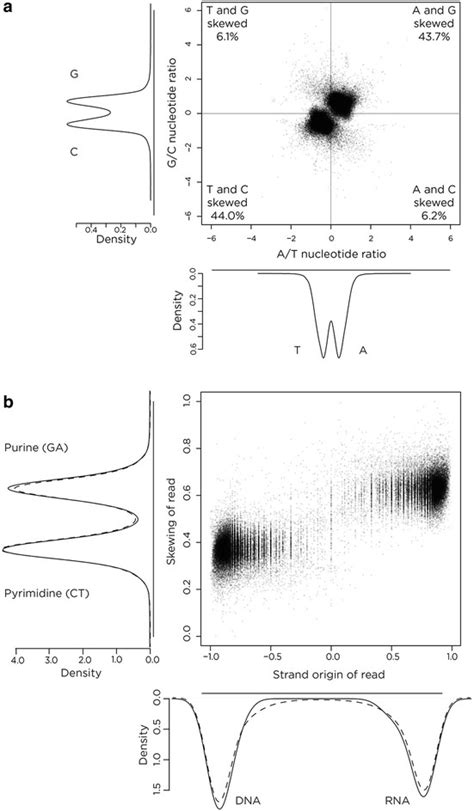 Nucleotide Skewing Analyses In Panel A We Plot The Skewing Within A Download Scientific