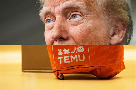 Shein Temu And Co Zollfreiheit Für Päckchen Fällt „wird Alle