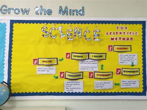 Science Display The Scientific Method Process Pdf Teaching Resources