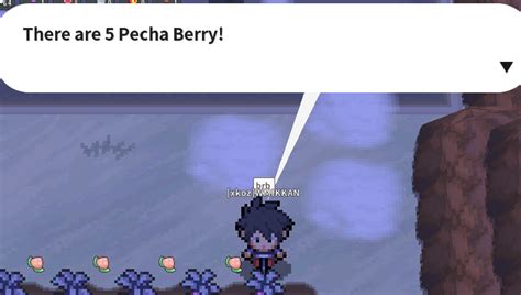 Find And Modify Your Own Strings For Pokemmo Customization Tutorials