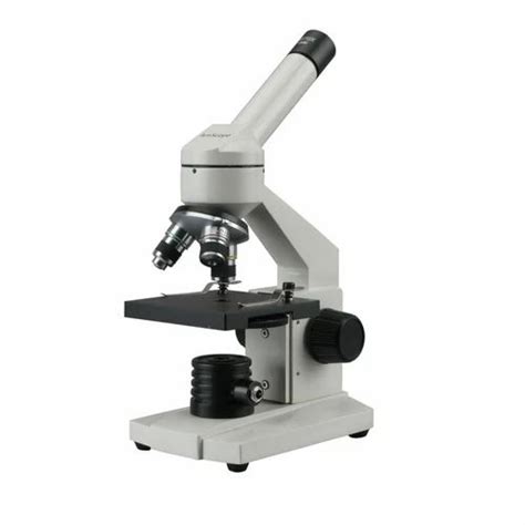 Compound Light Microscope Bright Field Microscope Latest Price Manufacturers Suppliers