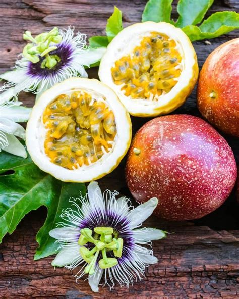 Panama Red Passion Fruit Starter Plant Tropical Vine