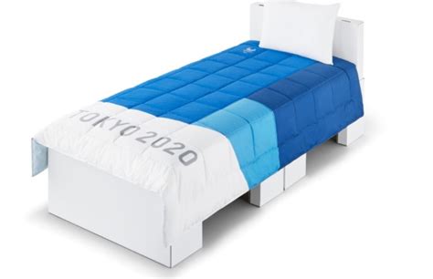 What Is Anti Sex Beds एंटी सेक्स बेड्स क्या है