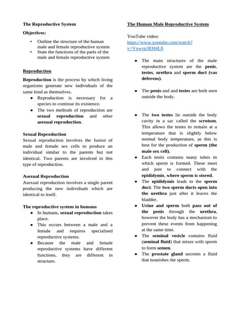 Human Reproductive System Overview Pdf Reproductive System