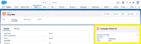 8 ways to add leads to salesforce campaigns as campaign members