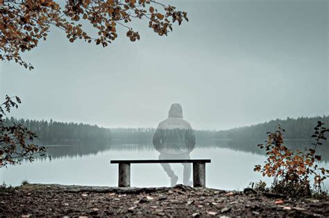 Invisibility Cloak Invented Robinage