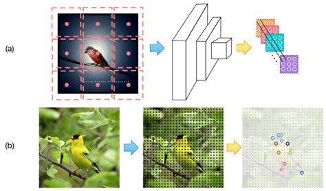 Illustration Of The Localization Network A Suppose A Certain Layer Download Scientific