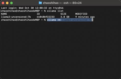 how to run nsfw ai chat locally using ollma cli rprp ai nsfw ai