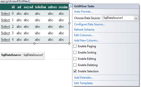 Gridview Nesnesinin Task özelliğine Bakılınca Delete Ve Editing
