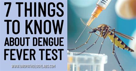 7 Things To Know About Dengue Fever Test Uno Pathology Labs