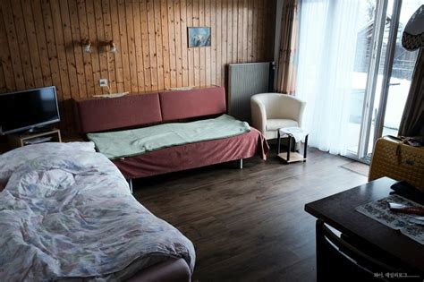 스위스 그린델발트 앨리스할머니네 후기 네이버 블로그