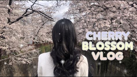 도쿄 브이로그일본 일상 Vlog L 도쿄 나카메구로 벚꽃놀이 L 꽃가루를 날려 🌸 L 이케지리오하시 롯폰기 일본여행 도쿄