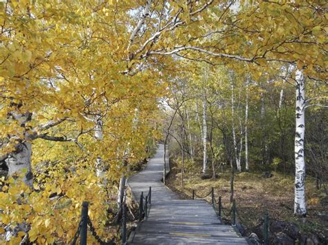 山东大学黄河生态产品价值实现研究中心