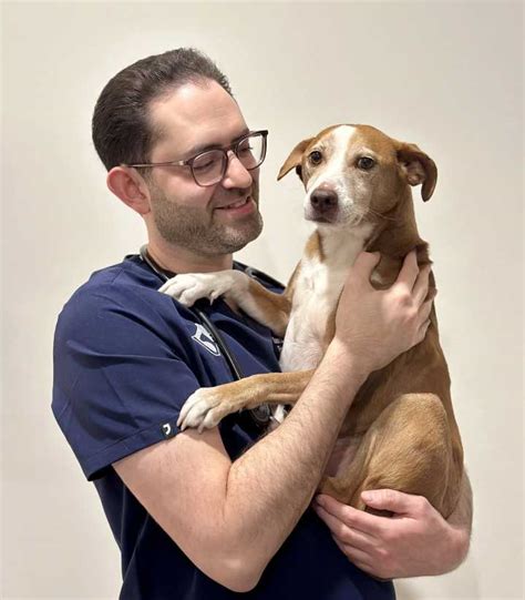 24 Hour Emergency Veterinary Hospital Opens In Mamaroneck Westchester