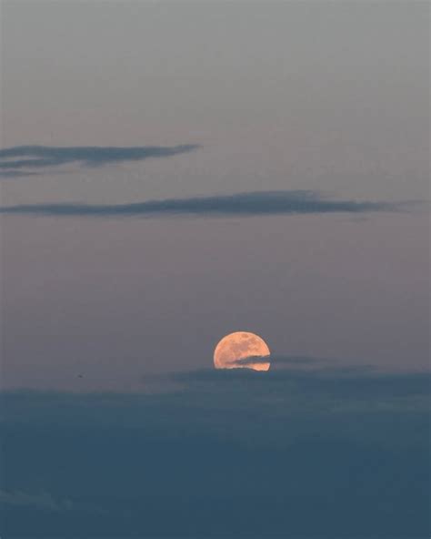 Instagram Photo By 🌻კესანე • May 22 2025 At 3 08 Am