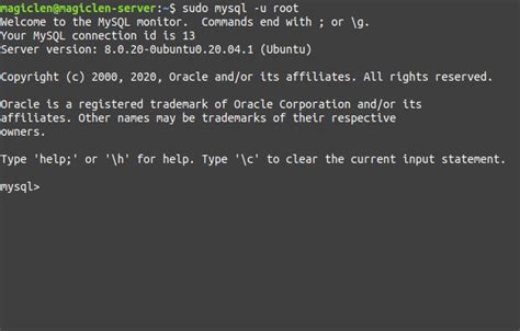 使用ubuntu Server架設mysql伺服器，並於php程式中存取mysql資料庫 Magiclen