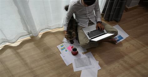 청년 프리랜서는 집에서 고양이와 함께 바닥에 앉아 노트북으로 작업합니다 사진 Unsplash의 사무실 이미지