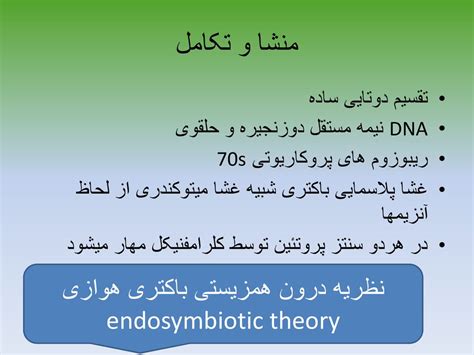 به نام پروردگار Ppt Download