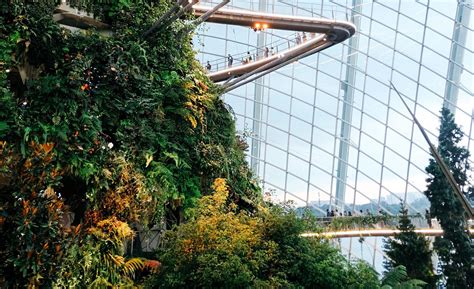 International Integrated Reporting Framework Capitals Coalition