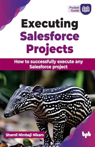 Executing Salesforce Projects How To Successfully Execute Any